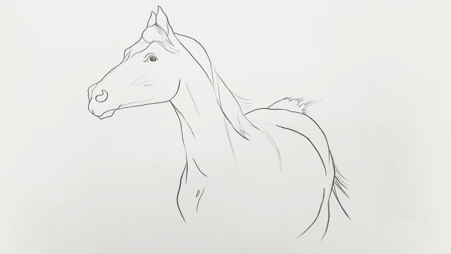 Lesson 4 | Drawing with Universal Shapes - Lillian Gray - Art School