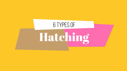 Lesson 05 | Cross-Hatching and Texture - Lillian Gray - Art School