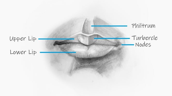 Lesson 14 I Drawing the mouth - Lillian Gray - Art School