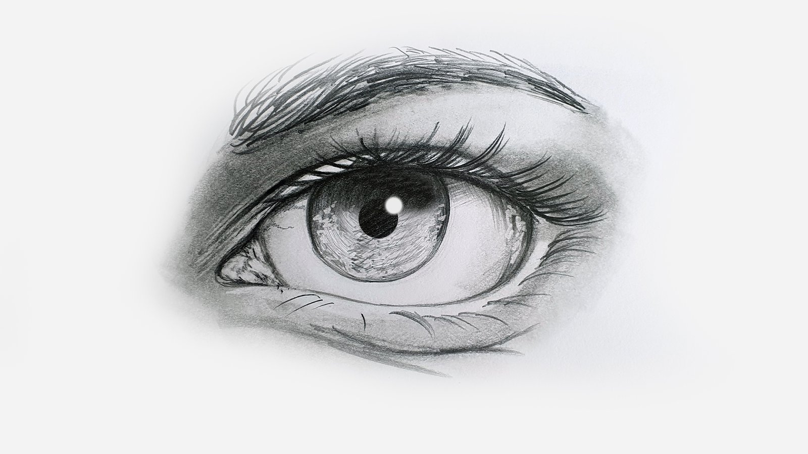 Lesson 12 I Drawing Eyes - Lillian Gray - Art School