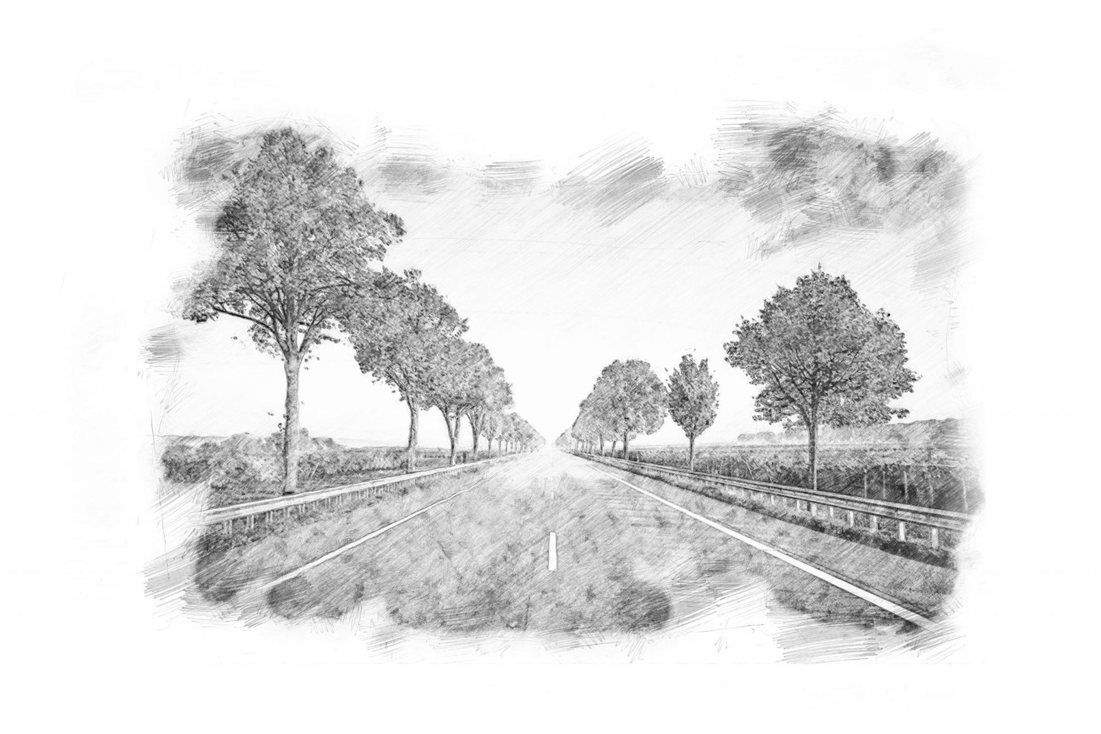 Free Online Drawing Course by Artist Lillian Gray. Lesson 8 ...