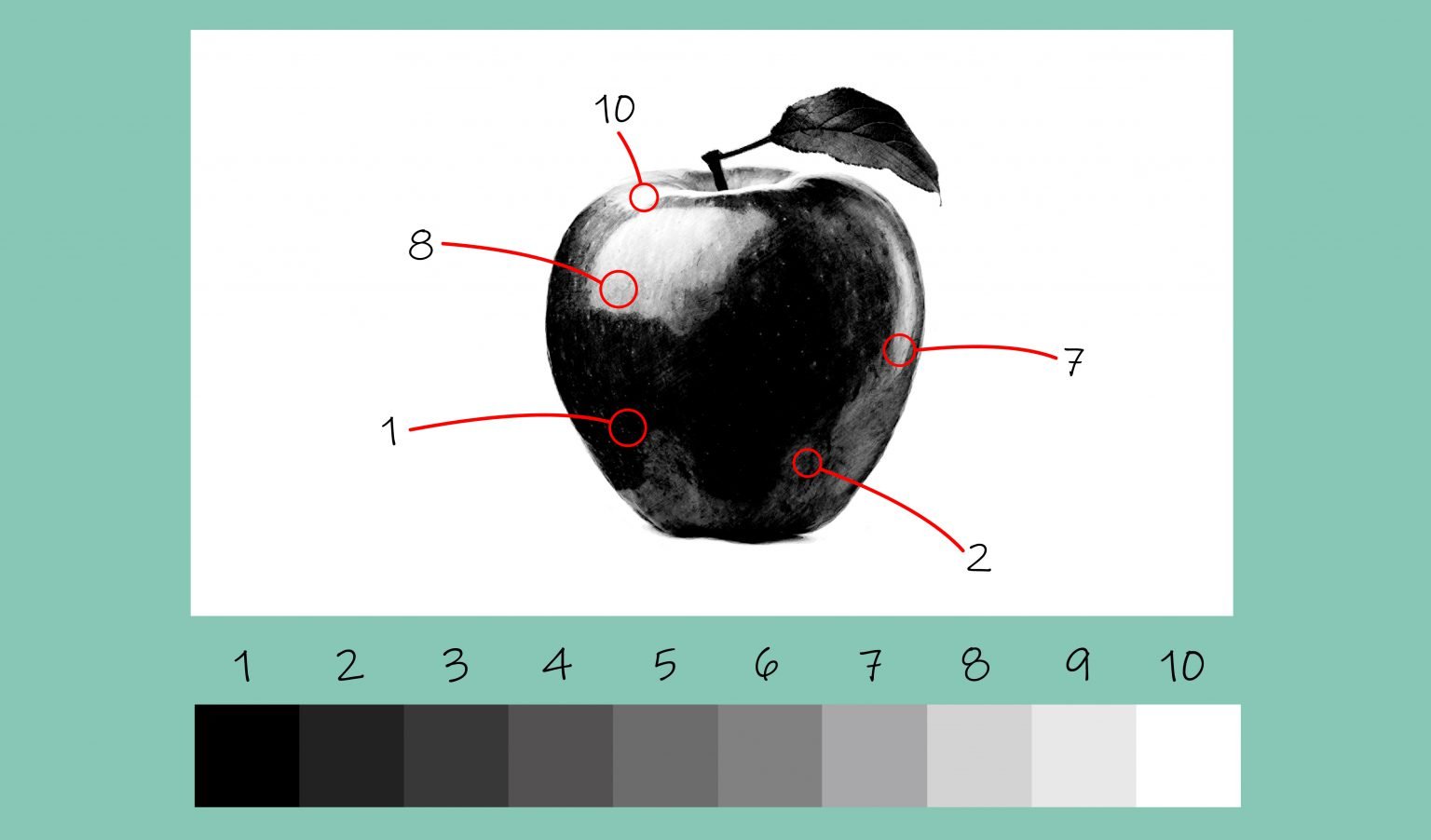 The 7 Elements of Art: Value - Lillian Gray - Art School