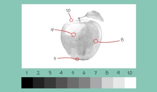 The 7 Elements of Art: Value - Lillian Gray - Art School